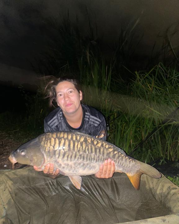 Fully scaled | Total Carp